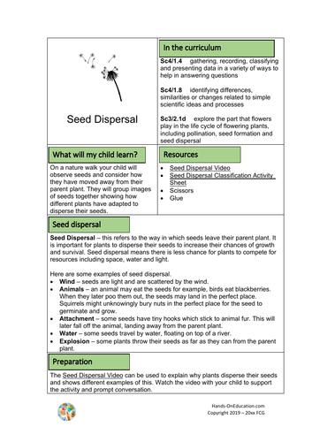 KS2 Seeds and Life Cycles Bundle | Hands-On Education | Teaching Resources