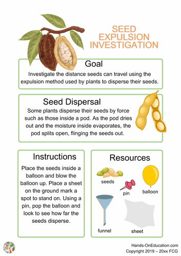 KS2 Seeds and Life Cycles Bundle | Hands-On Education | Teaching Resources