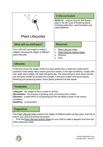 KS2 Seeds and Life Cycles Bundle | Hands-On Education | Teaching Resources