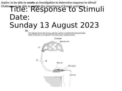 Response To Stimuli | Teaching Resources