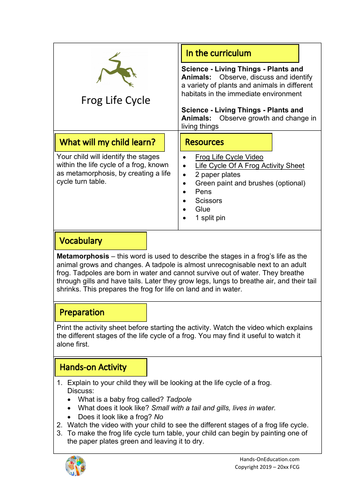 Amphibians Activities | Senior Infants Bundle | Hands-On Education ...