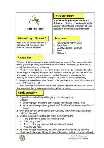 Amphibians Activities | Senior Infants Bundle | Hands-On Education ...