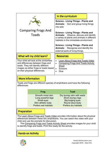 Amphibians Activities | Senior Infants Bundle | Hands-On Education ...