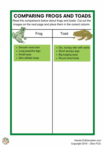Amphibians Activities | Senior Infants Bundle | Hands-On Education ...