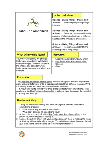Amphibians Activities | Senior Infants Bundle | Hands-On Education ...