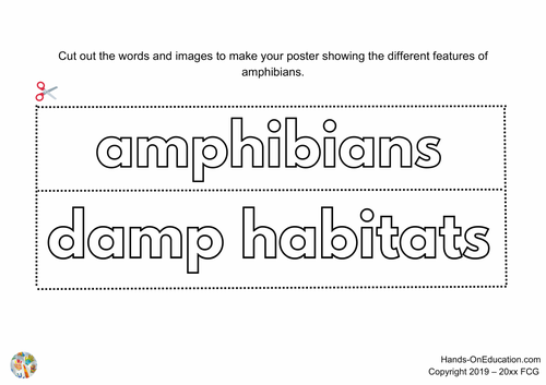 Amphibians Activities | Senior Infants Bundle | Hands-On Education ...