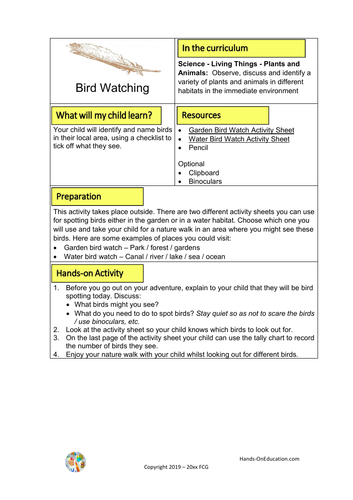 Birds Activities | Senior Infants Bundle | Hands-On Education ...