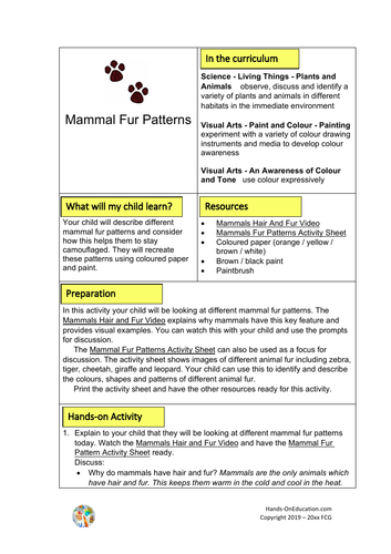 Mammals Activities | Senior Infants Bundle | Hands-On Education ...