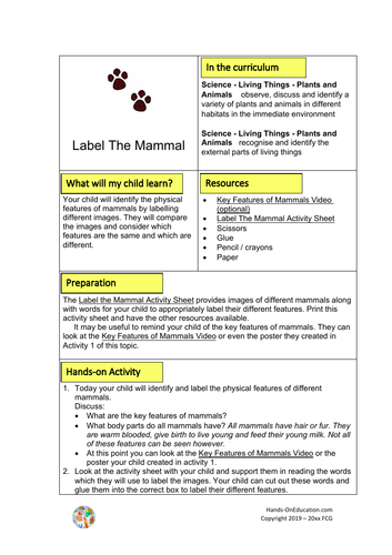 Mammals Activities | Senior Infants Bundle | Hands-On Education ...