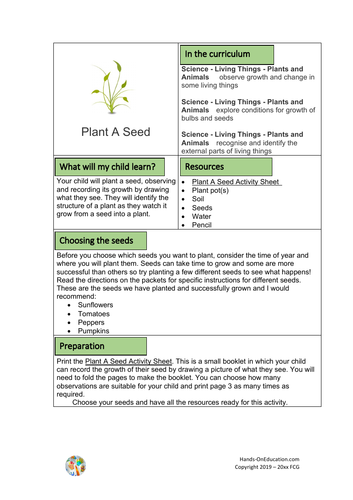 Plants Around Us Activities | Senior Infants Bundle | Hands-On ...