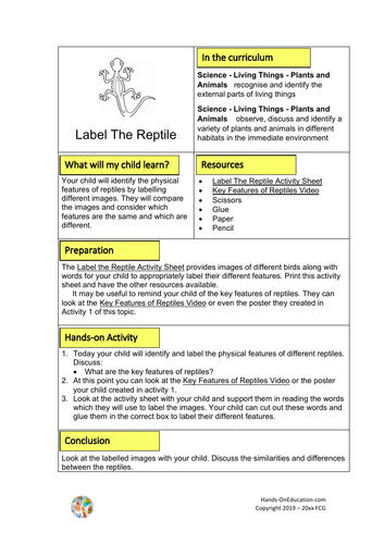 Reptiles Activities | Senior Infants Bundle | Hands-On Education ...