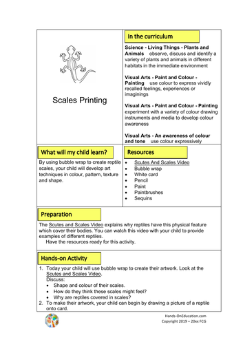 Reptiles Activities | Senior Infants Bundle | Hands-On Education ...