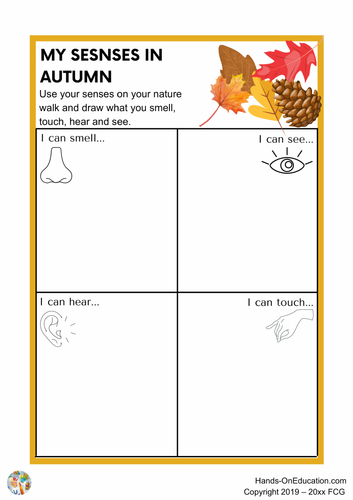 Seasons Activities | Free Senior Infants Bundle | Hands-On Education ...