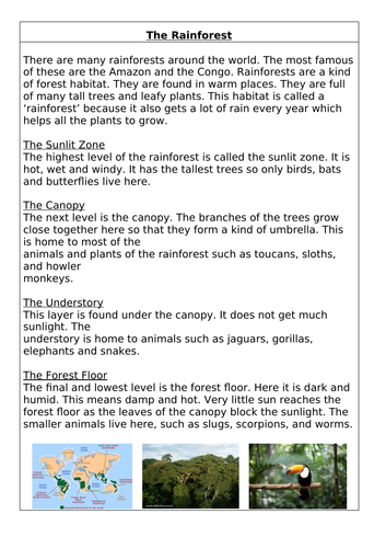 Rainforest Non Fiction Report Writing | Teaching Resources