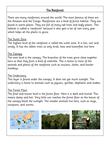 Rainforest Non Fiction Report Writing | Teaching Resources