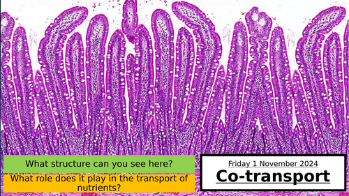 AQA Transport Across Cell Membranes - BUNDLE | Teaching Resources