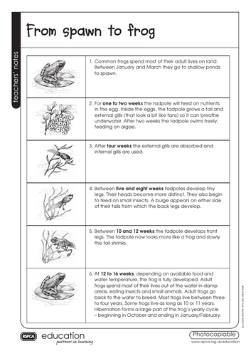 Types of Birth | Teaching Resources
