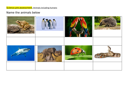 Science: Animals including humans YEAR 1/2 MIXED CLASS (see description ...