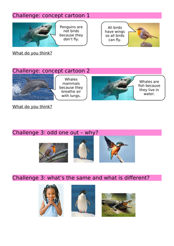Science: Animals including humans YEAR 1/2 MIXED CLASS (see description ...