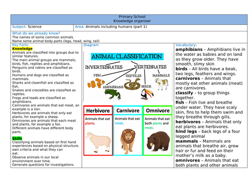 Science: Animals including humans YEAR 1/2 MIXED CLASS (see description ...