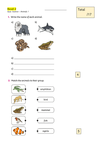 Science: Animals including humans YEAR 1/2 MIXED CLASS (see description ...