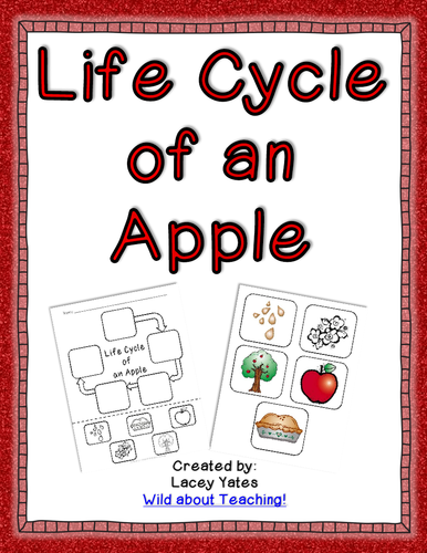Life Cycle of an Apple {FREEBIE} | Teaching Resources
