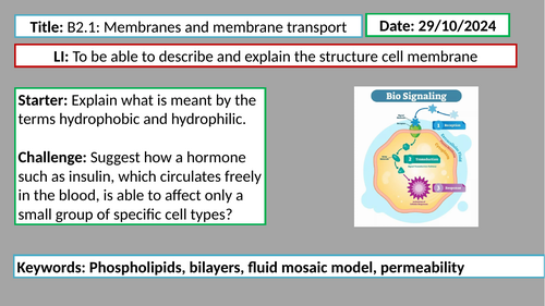 IB Biology: B2.1 Membranes and membrane transport (first exams in 2025 ...