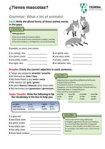 Viva 1 Mod 1 tienes mascotas cont | Teaching Resources