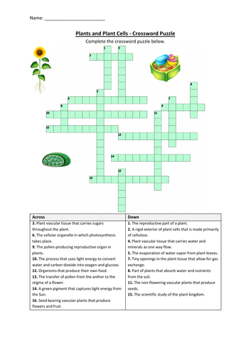 Plants and Plant Cells - Crossword Puzzle Worksheet Activity (Printable ...
