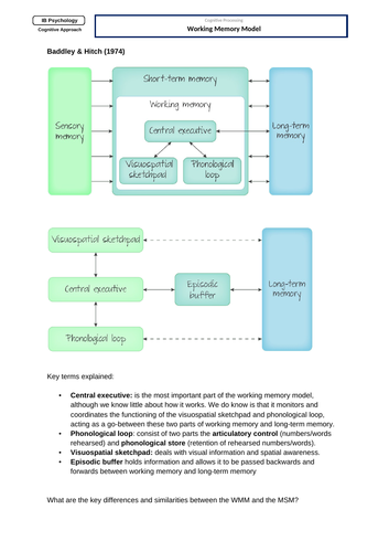 IB Psychology: Working memory model | Teaching Resources