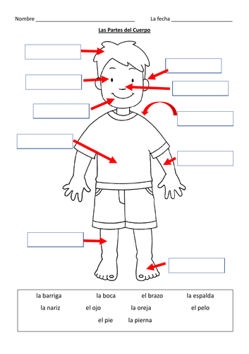 Las Partes del Cuerpo | Teaching Resources