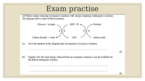 CIE 12.1 Energy and Respiratory Quotients | Teaching Resources