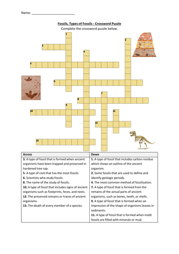 Fossils, Types of Fossils - Crossword Puzzle Worksheet Activity ...