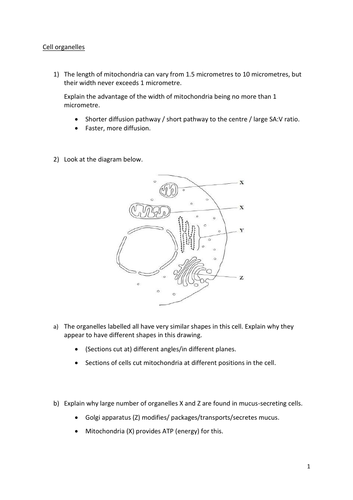 AQA A-Level Biology - Cells Exam Questions | Teaching Resources