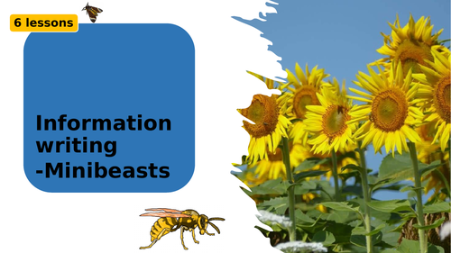 Minibeasts - Information writing | Teaching Resources