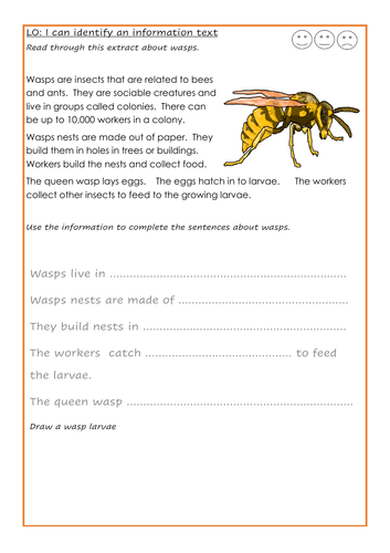 Minibeasts - Information writing | Teaching Resources