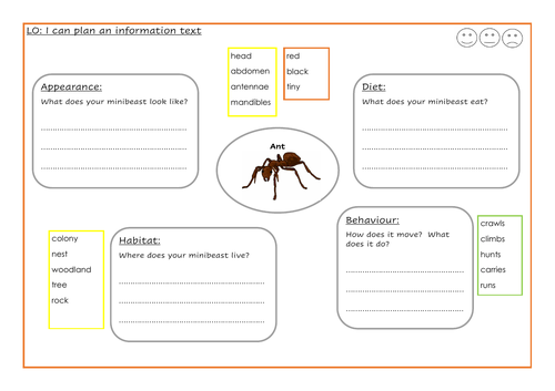 Minibeasts - Information writing | Teaching Resources
