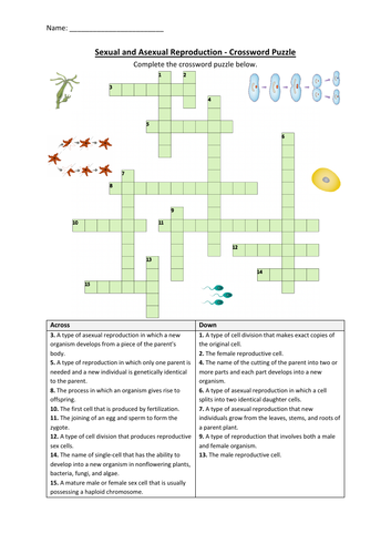 Sexual and Asexual Reproduction - Crossword Puzzle Worksheet Activity ...