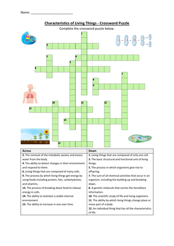 Characteristics of Living Things - Crossword Puzzle Worksheet Activity ...