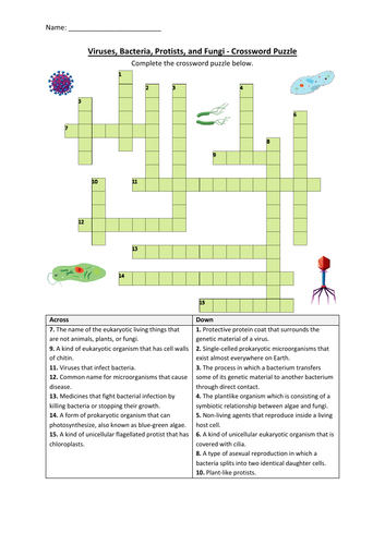 Viruses, Bacteria, Protists, and Fungi - Crossword Puzzle Activity ...