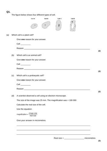 Microscopes | Teaching Resources