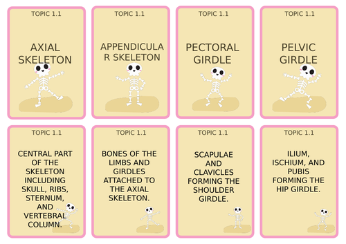 IB SEHS Musculoskeletal System Flash Cards | Teaching Resources