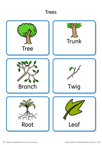Horticulture/Gardening for Entry Level/SEND: Trees | Teaching Resources