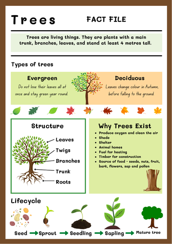 Horticulture/Gardening for Entry Level/SEND: Trees | Teaching Resources