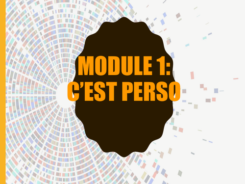 STUDIO 1 FRENCH: MODULE 1 / LESSON 1: Mon autoportrait | Teaching Resources