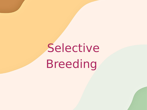 GCSE Biology Lesson - Selective Breeding/Food Security | Teaching Resources GCSE Biology Lesson - Selective Breeding/Food Security | Teaching Resources
