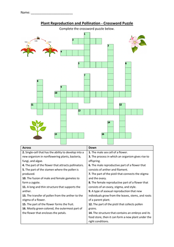 Plant Reproduction and Pollination - Crossword Puzzle Worksheet ...