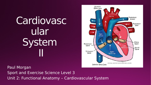 Unit 1 - Anatomy - Cardiovascular system | Teaching Resources