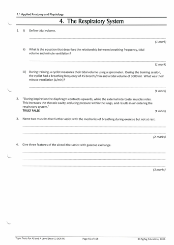 Unit 1 - Anatomy - Respiratory System | Teaching Resources