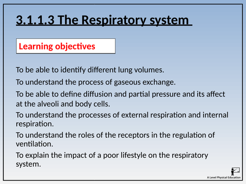 Unit 1 - Anatomy - Respiratory System | Teaching Resources
